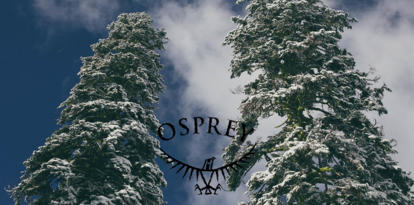 Home - Association of Outdoor Recreation and Education