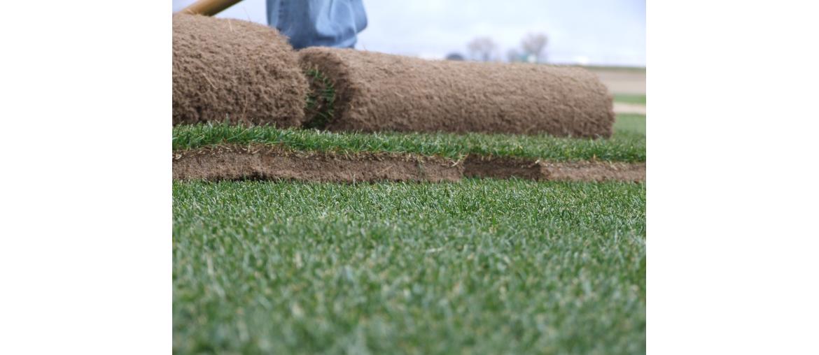 Rocky Mountain Regional Turfgrass Association